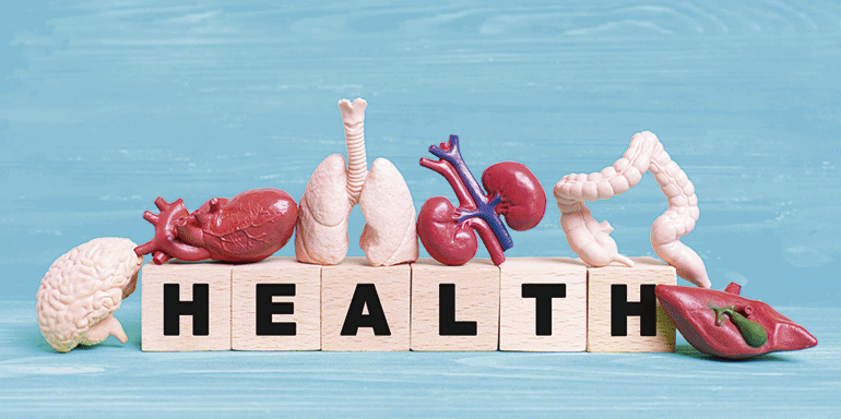 La suplementación de una fórmula infantil con un simbiótico y ...